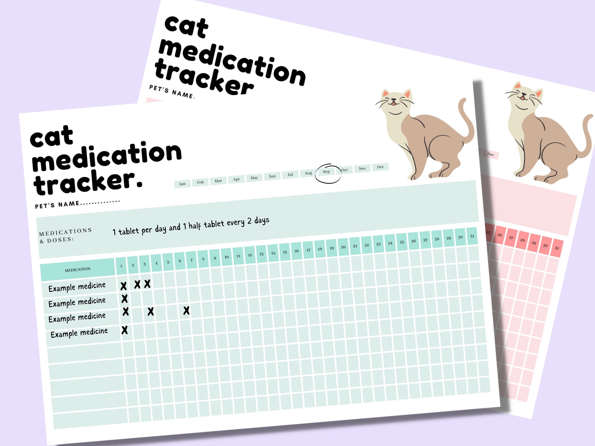Pet Cat Medication Tracker Printable PDF Kitten Pill Organizer Medicine ...