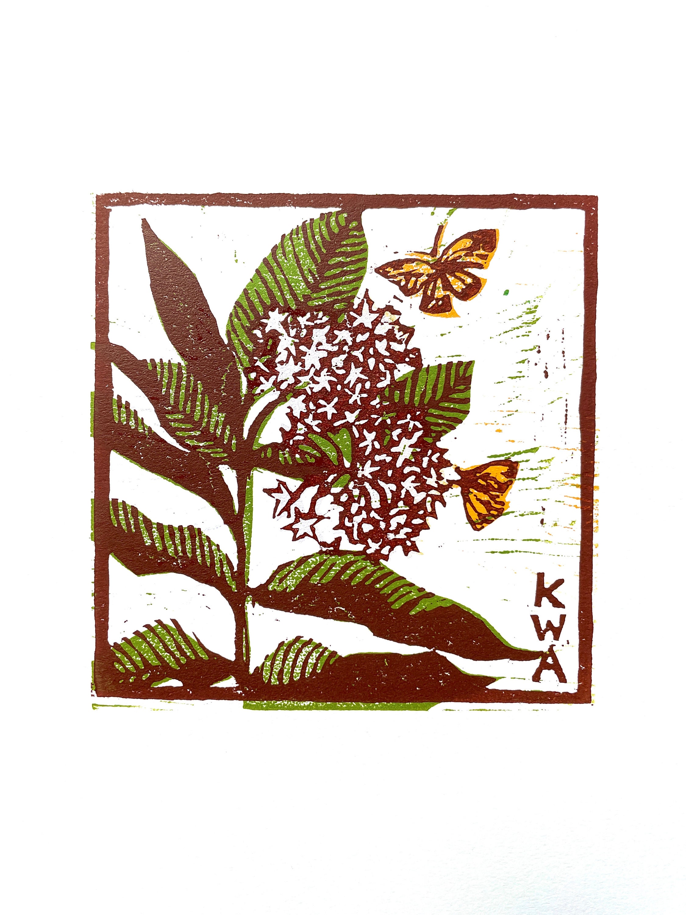 Milkweed Plant Illustration