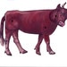 DIY Paper Dolls, Cow, Jointed Paper Dolls, Cow Paper Dolls, Bookmarks ...