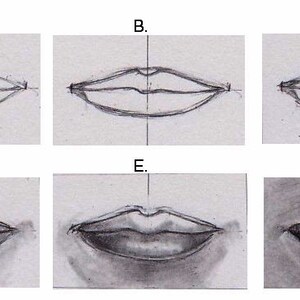 Start to Draw the Face, Tutorial PDF, How to Draw the Face, Drawing ...