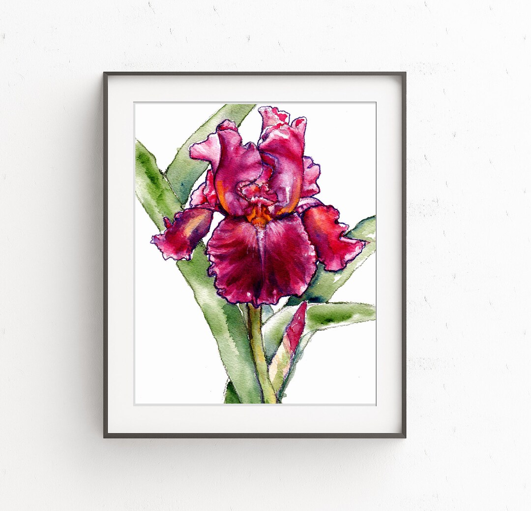 Iris Art Print, Wall Decor, Iris, Printable Wall Art Bathroom, Floral ...