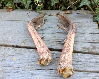 Turkey Feet - Etsy
