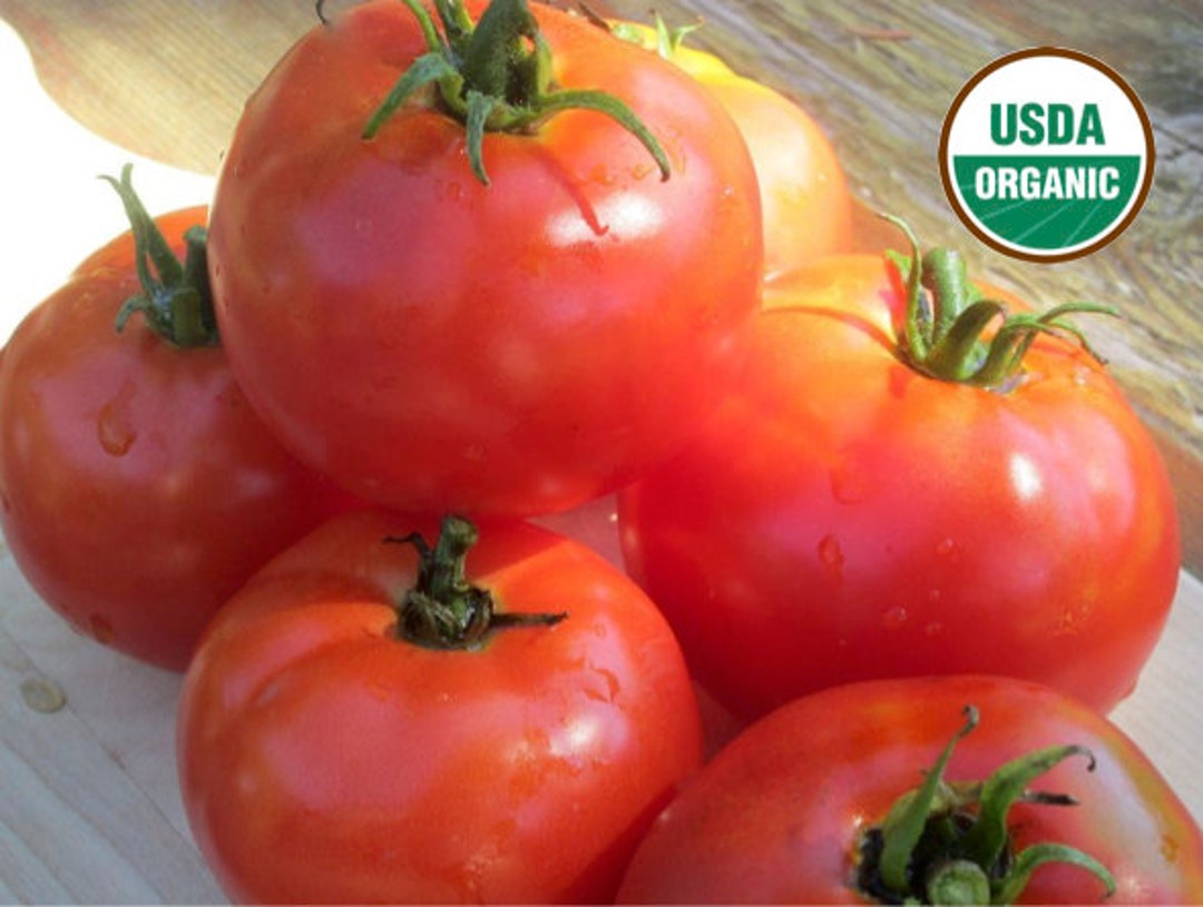 Oregon Spring Heirloom Tomato CERTIFIED ORGANIC Seed 1 Packet 25 Seeds ...