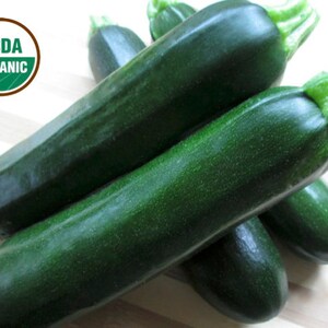 Dark Star Zucchini CERTIFIED ORGANIC Seed 1 Packet 25 Seeds - Etsy