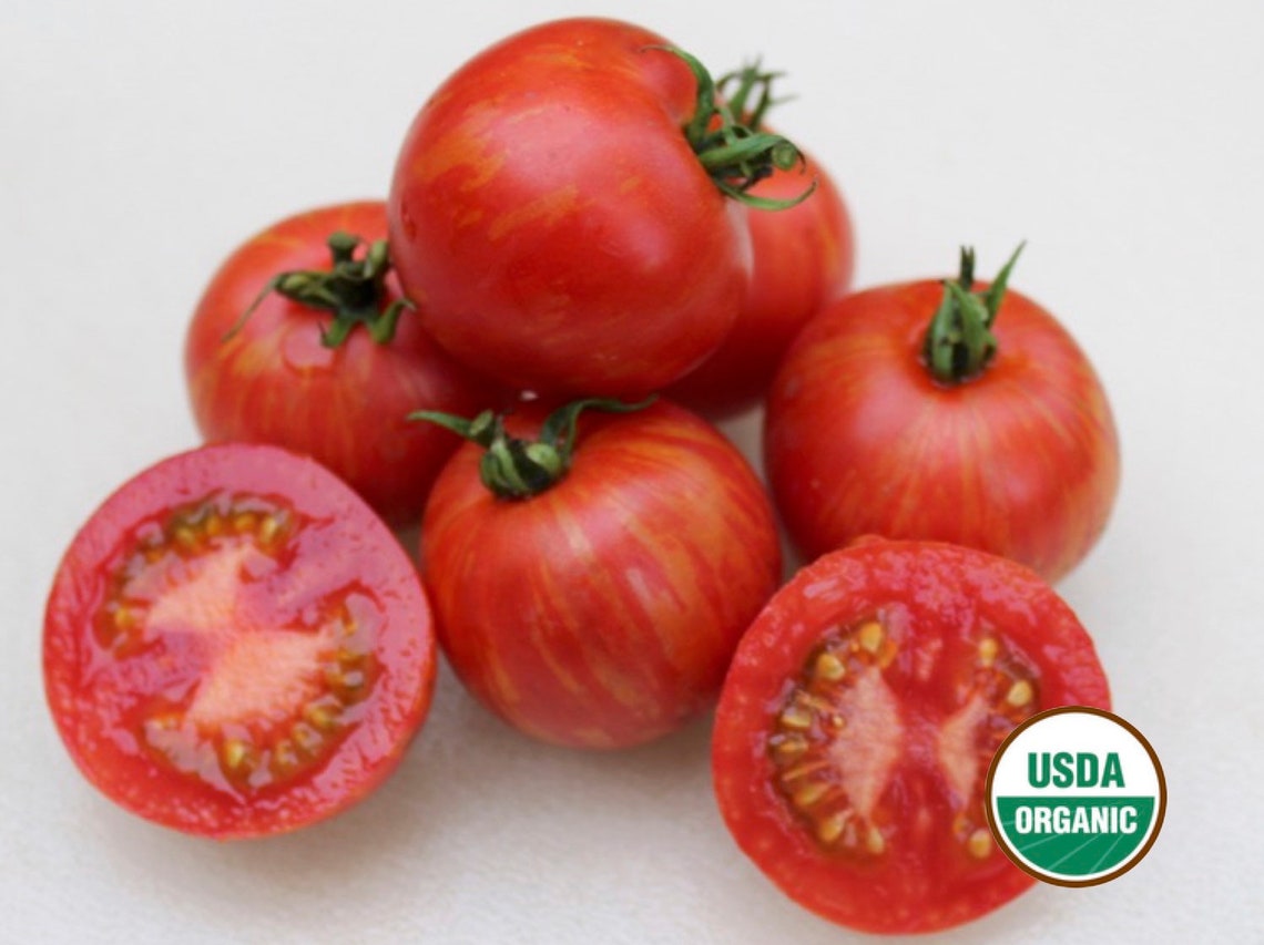 Tigerella Heirloom Tomato CERTIFIED ORGANIC Seed 1 Packet 25 - Etsy