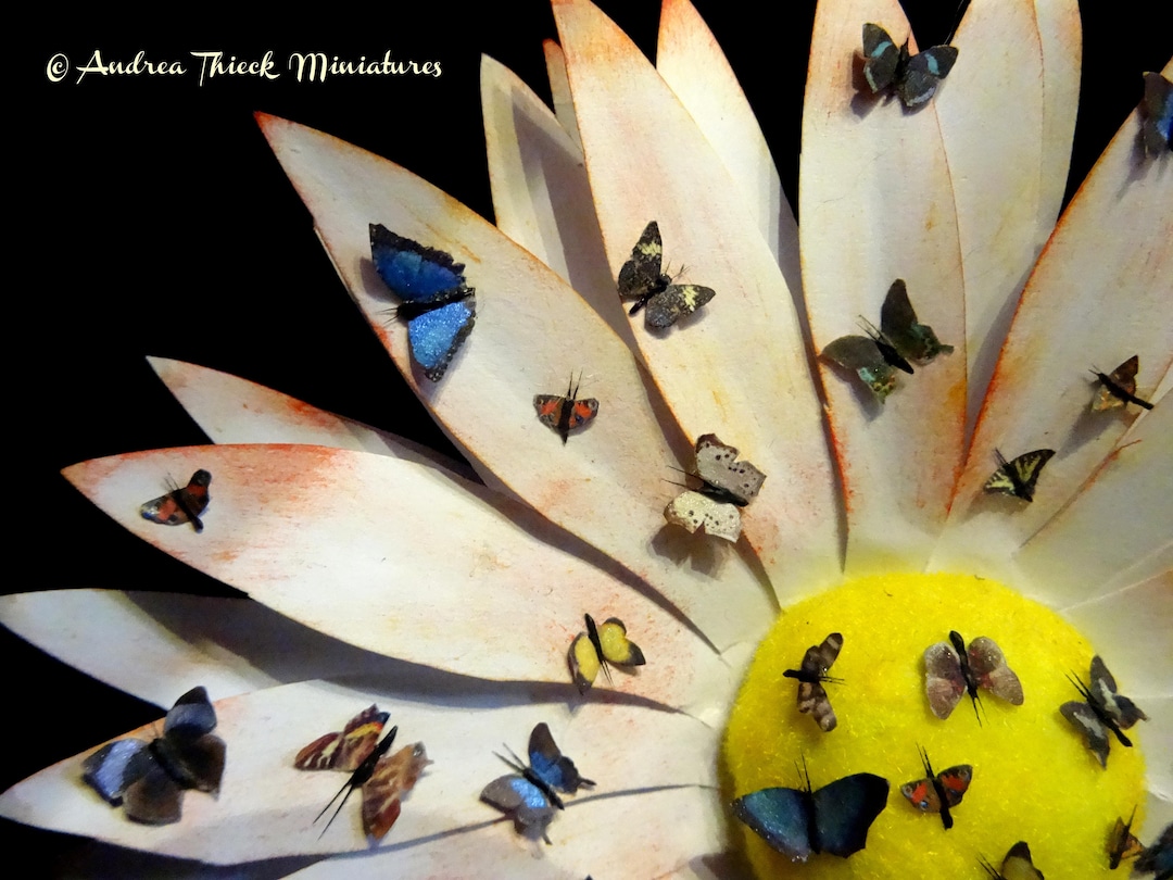 Miniature Butterfly With Antennae - 1-12 Scale - Choose Your Favourite ...