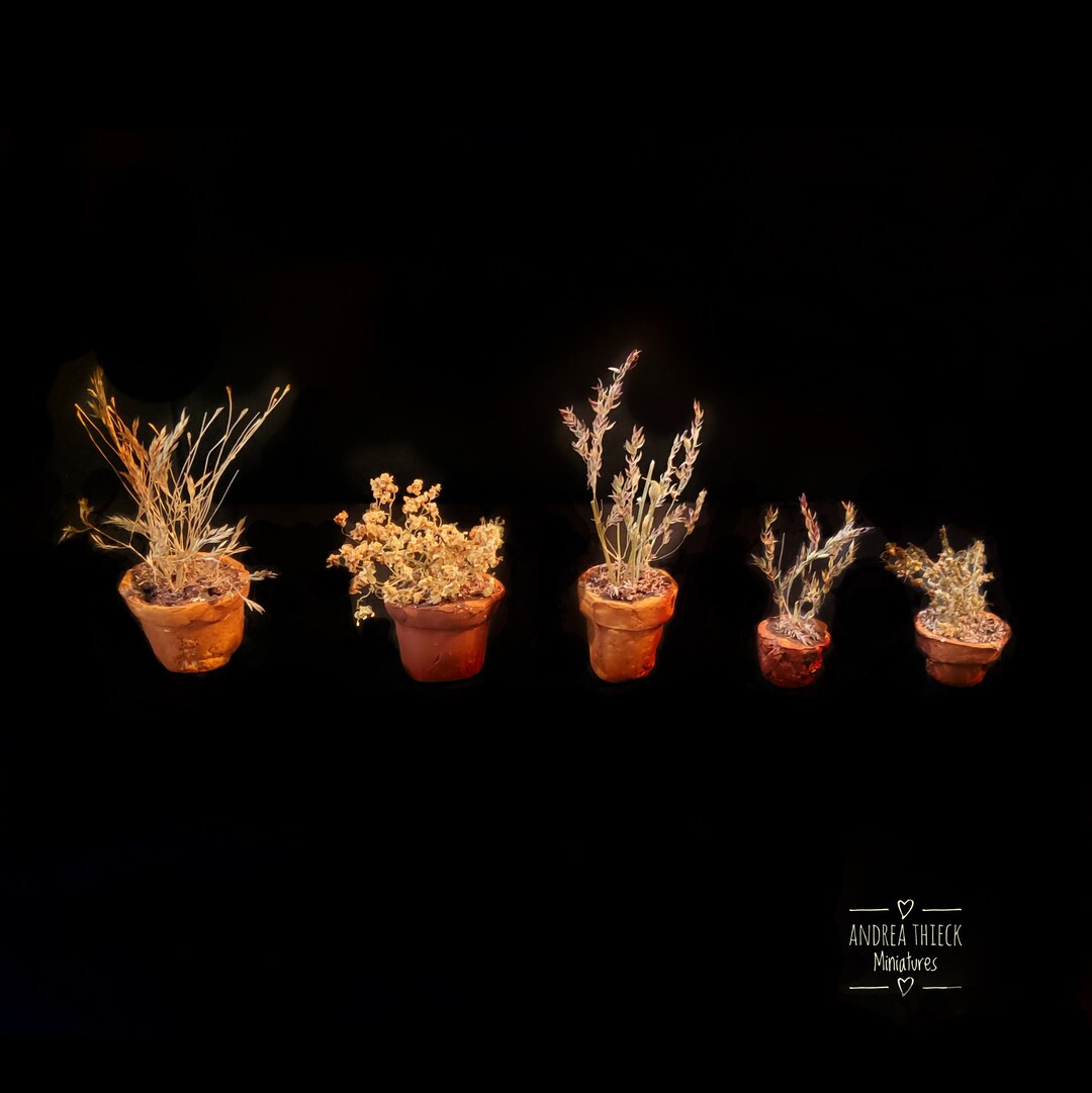 Miniature Dried Out Herbs & Plants - 1-12 Scale OOAK - Etsy