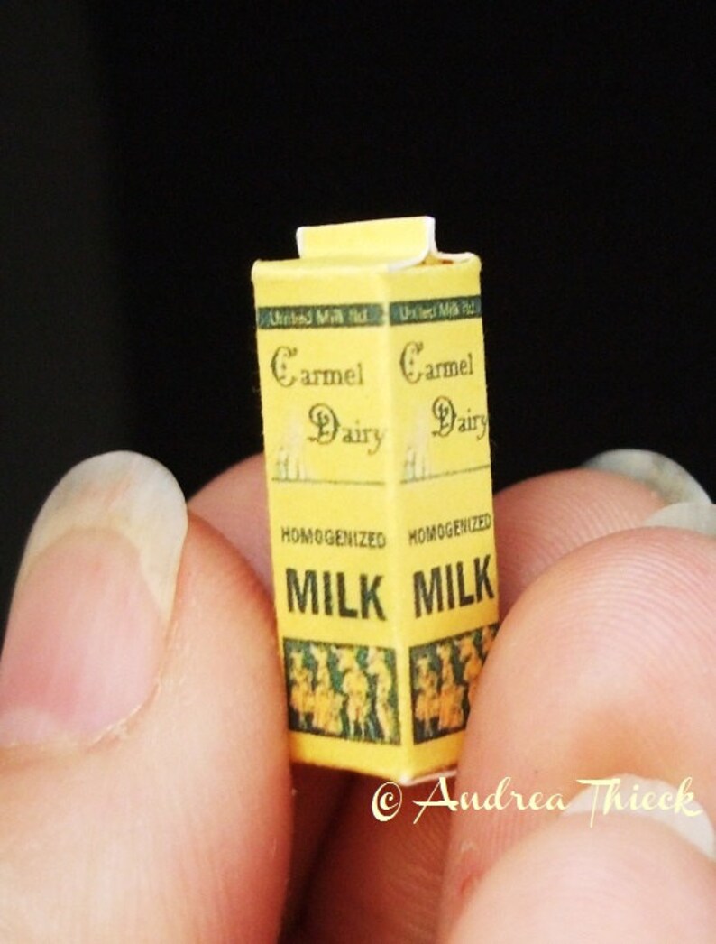 Miniature Milk Carton No.1 - 1/12 - Etsy