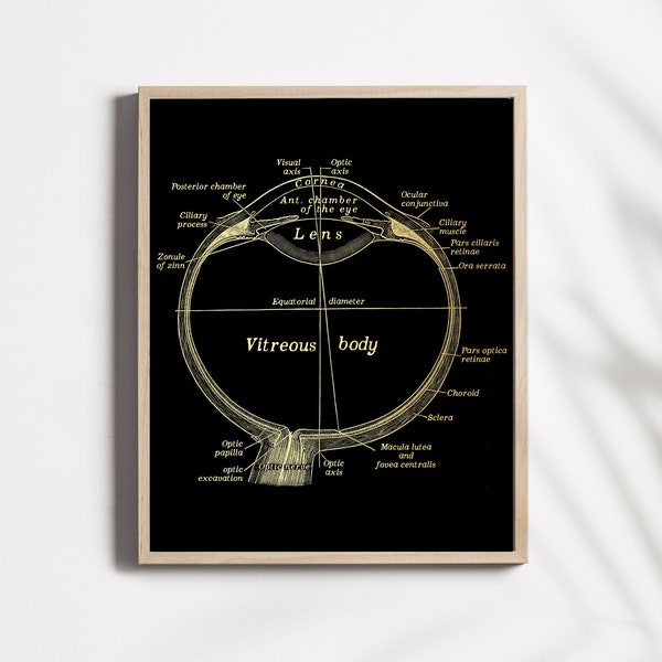 Optometry Wall Art - Etsy