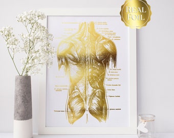 Massage Therapist Gift Muscle Anatomy Physical Therapist | Etsy