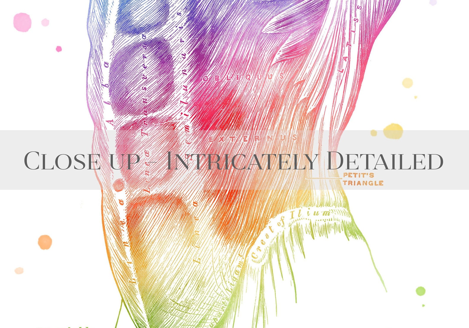 Physical Therapist Gift Massage Therapist Gift Muscle - Etsy