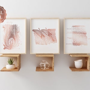 Dermatologist Gift - Dermatology Print - Epidermis Art - Esthetician ...