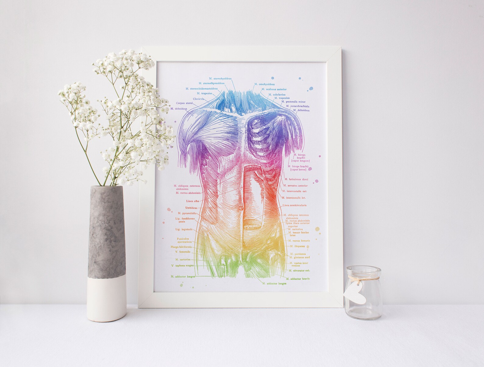 Physical Therapist Gift Massage Therapist Gift Muscle - Etsy