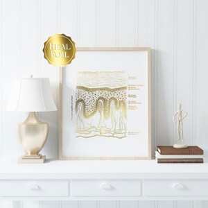 Esthetician Gift Dermatologist Gift Dermatology Print Epidermis Art ...