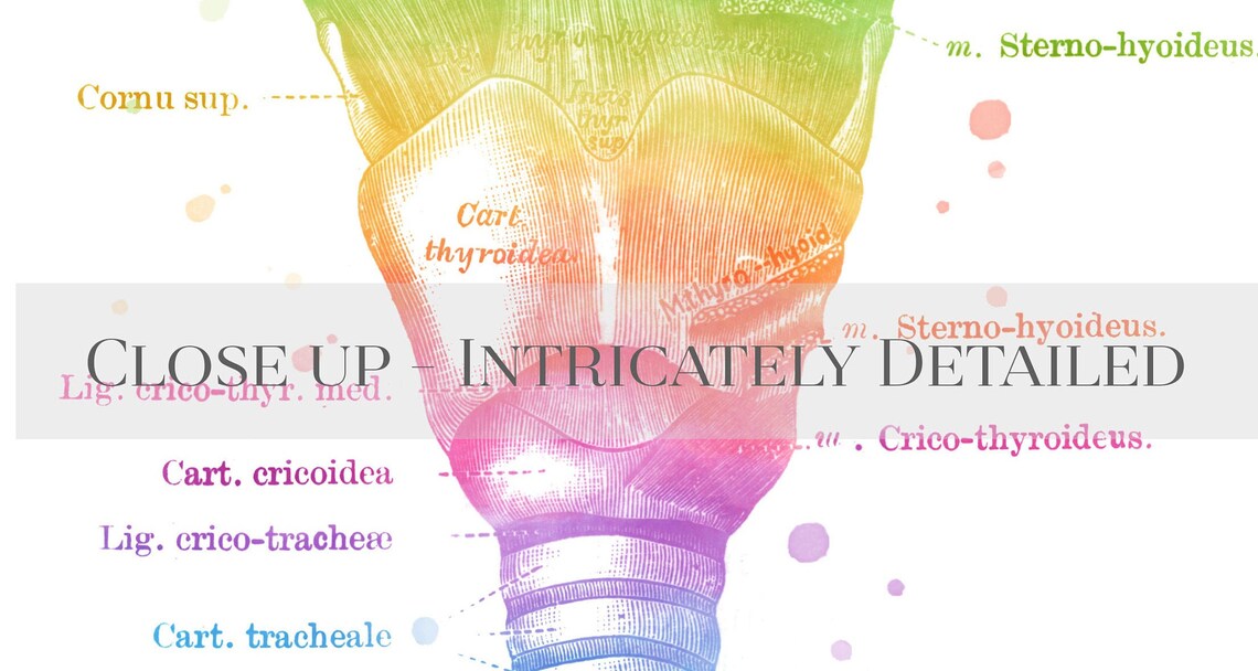 SLP Gift Set of 4 Prints Speech Therapist Gift Speech | Etsy