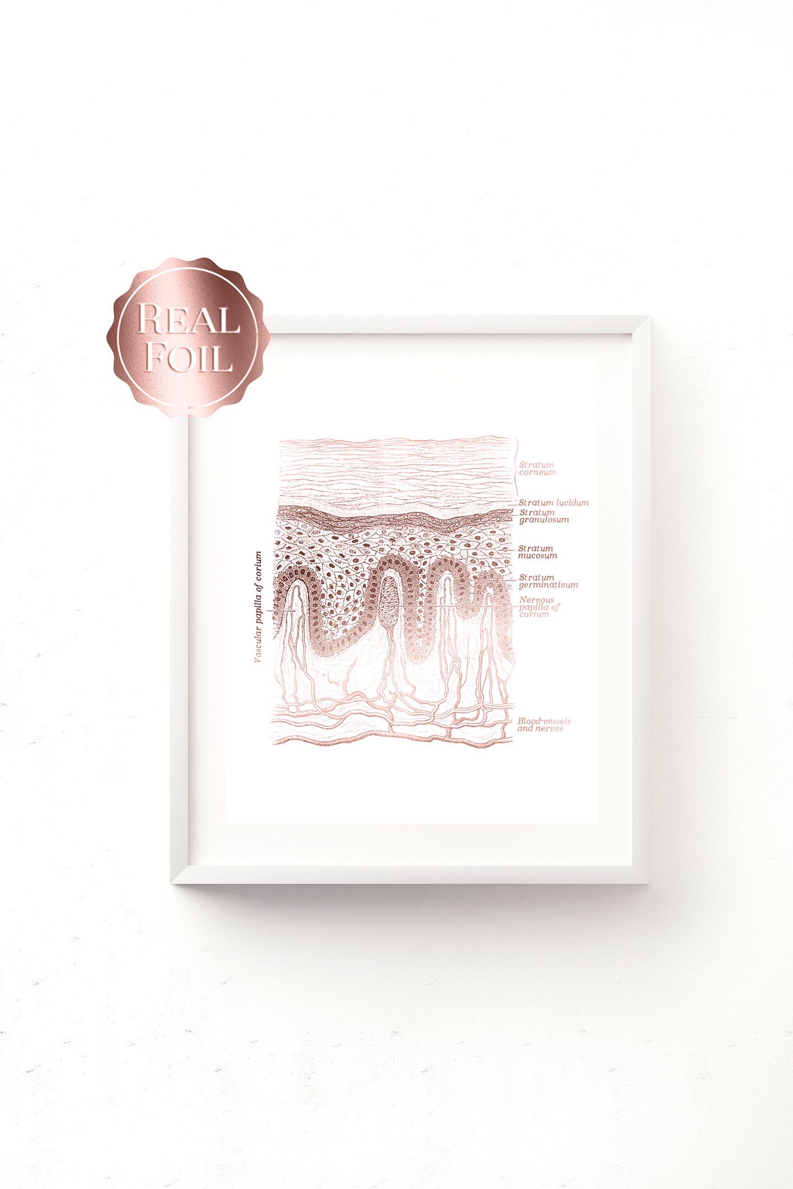 Esthetician Gift Dermatologist Gift Dermatology Print | Etsy