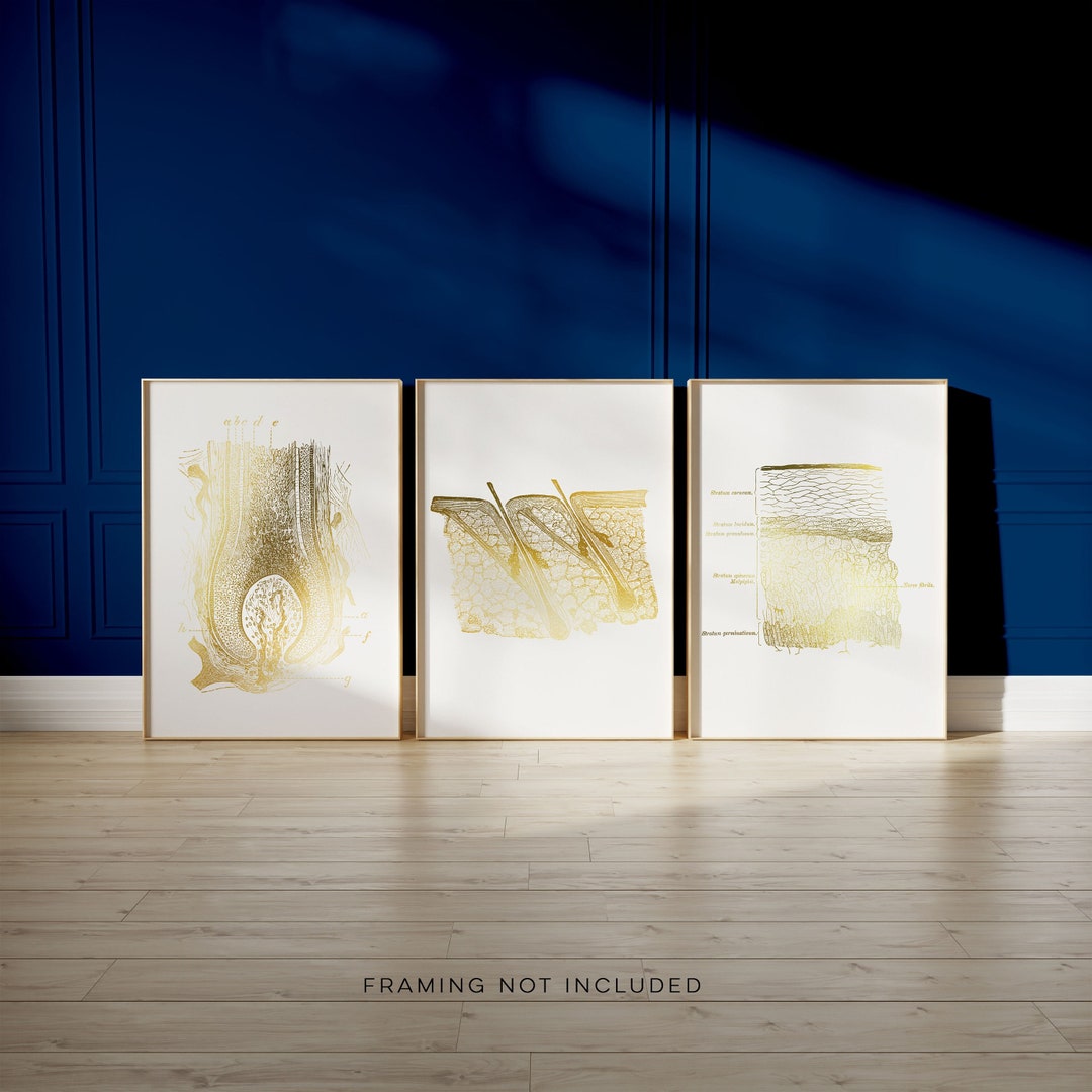 Dermatologist Gift - Dermatology Print - Epidermis Art - Esthetician ...