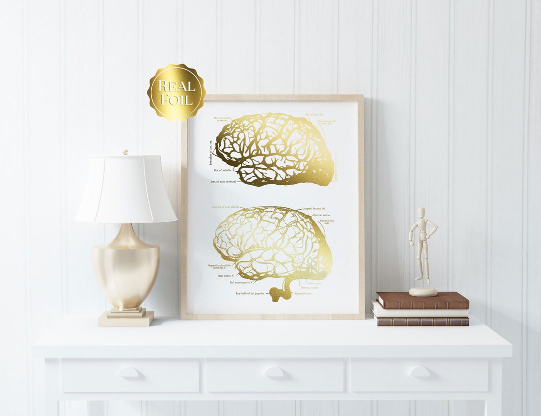 Brain Art - Gold Foil - Neurosurgeon Gift - Brain Anatomy - Medical ...