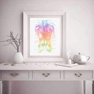 Physical Therapist Gift - Massage Therapist Gift - Muscle System ...