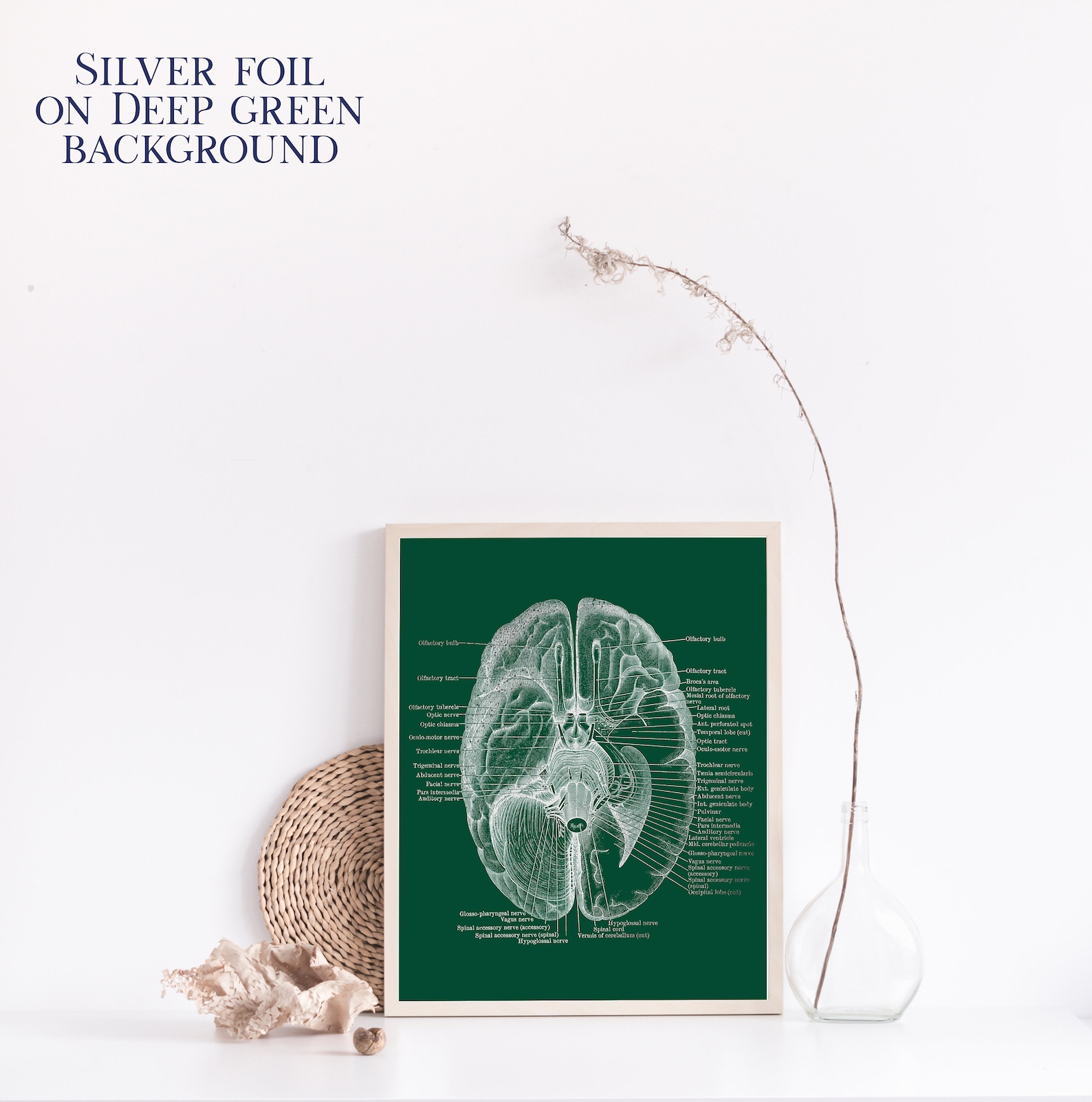 Brain Anatomy Print - Neuroscience Gift - Neurosurgeon Gift - Gold Foil ...