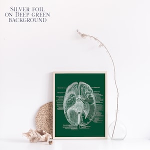 Brain Anatomy Print - Neuroscience Gift - Neurosurgeon Gift - Gold Foil ...