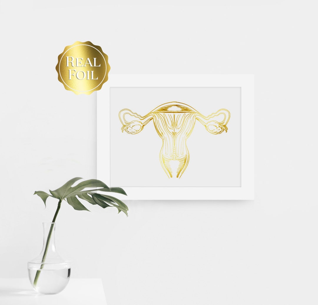 Uterus Anatomy Female Reproductive System Doula Gift Midwife Gift OBGYN ...