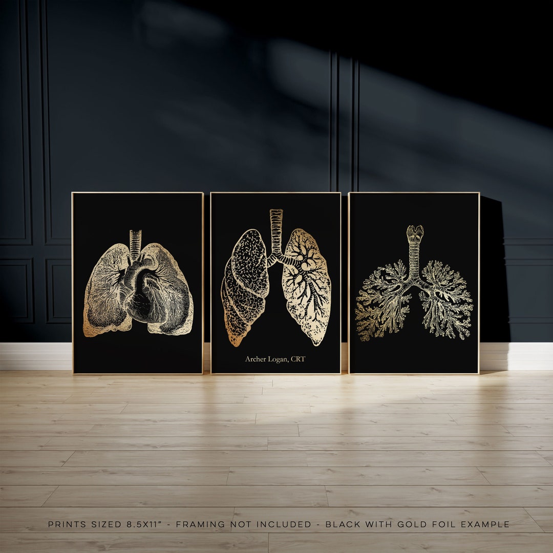 Custom Respiratory Therapist Gift Personalized Lung Art Print Set of 3 ...