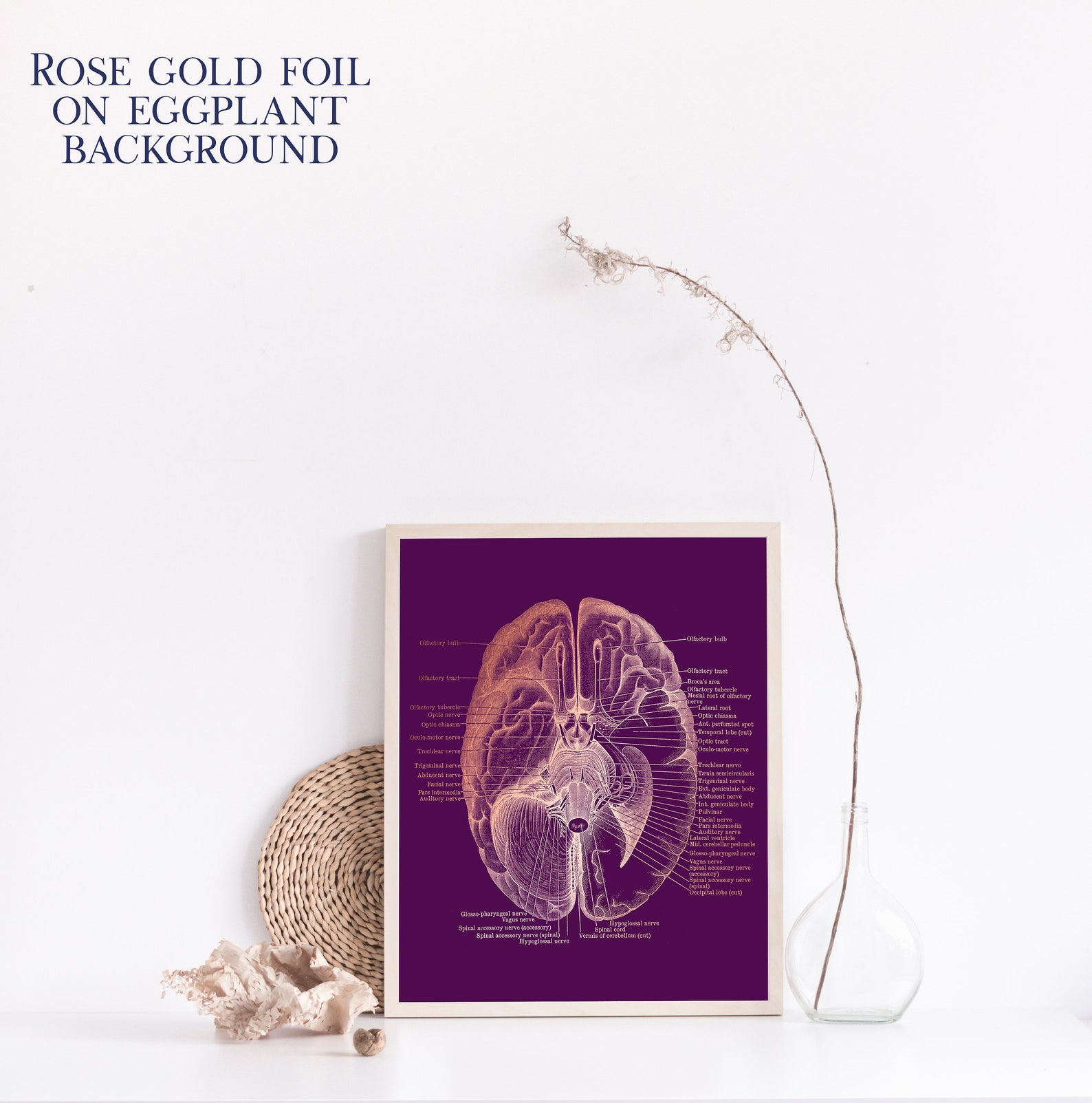 Brain Anatomy Print Neuroscience Gift Neurosurgeon Gift - Etsy