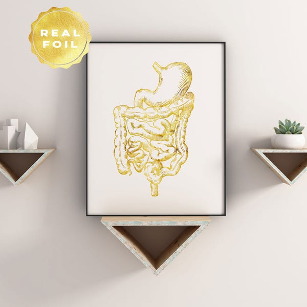 Intestines - Etsy