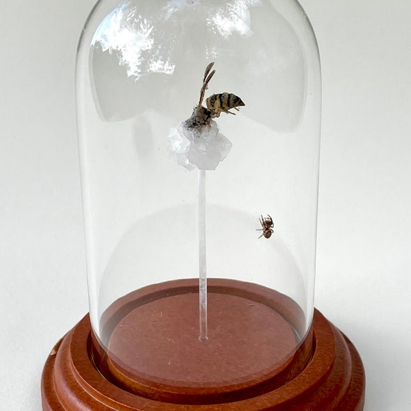 Insect Sculpture - Etsy
