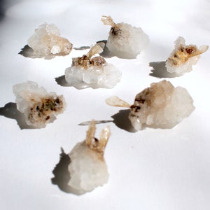 Crystallized Bee Crystal Bug Insect Wings Honeybee - Etsy