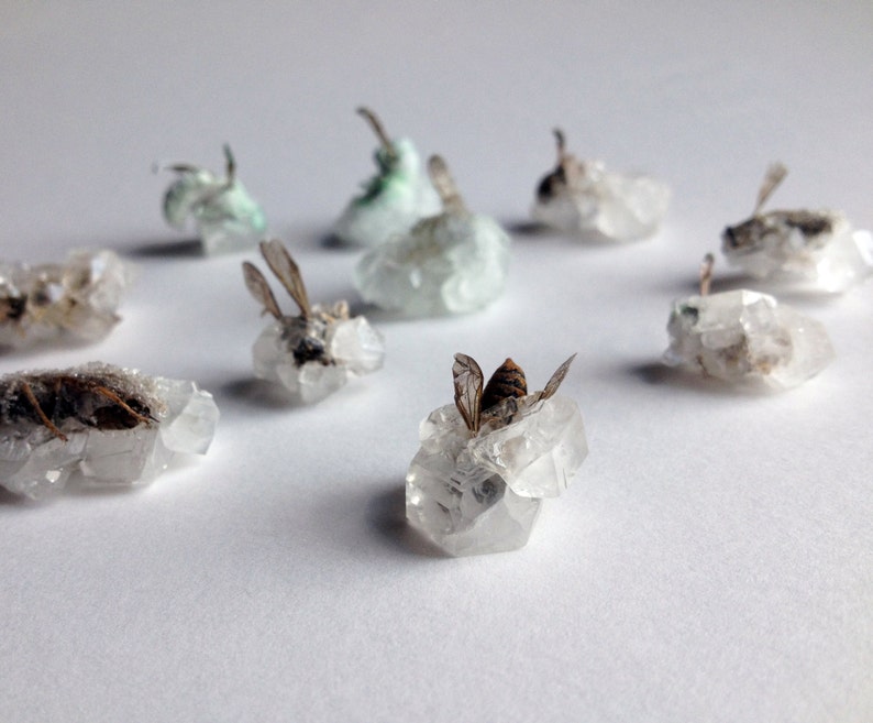 Crystallized Bee Crystal Bug Insect Wings Honeybee - Etsy