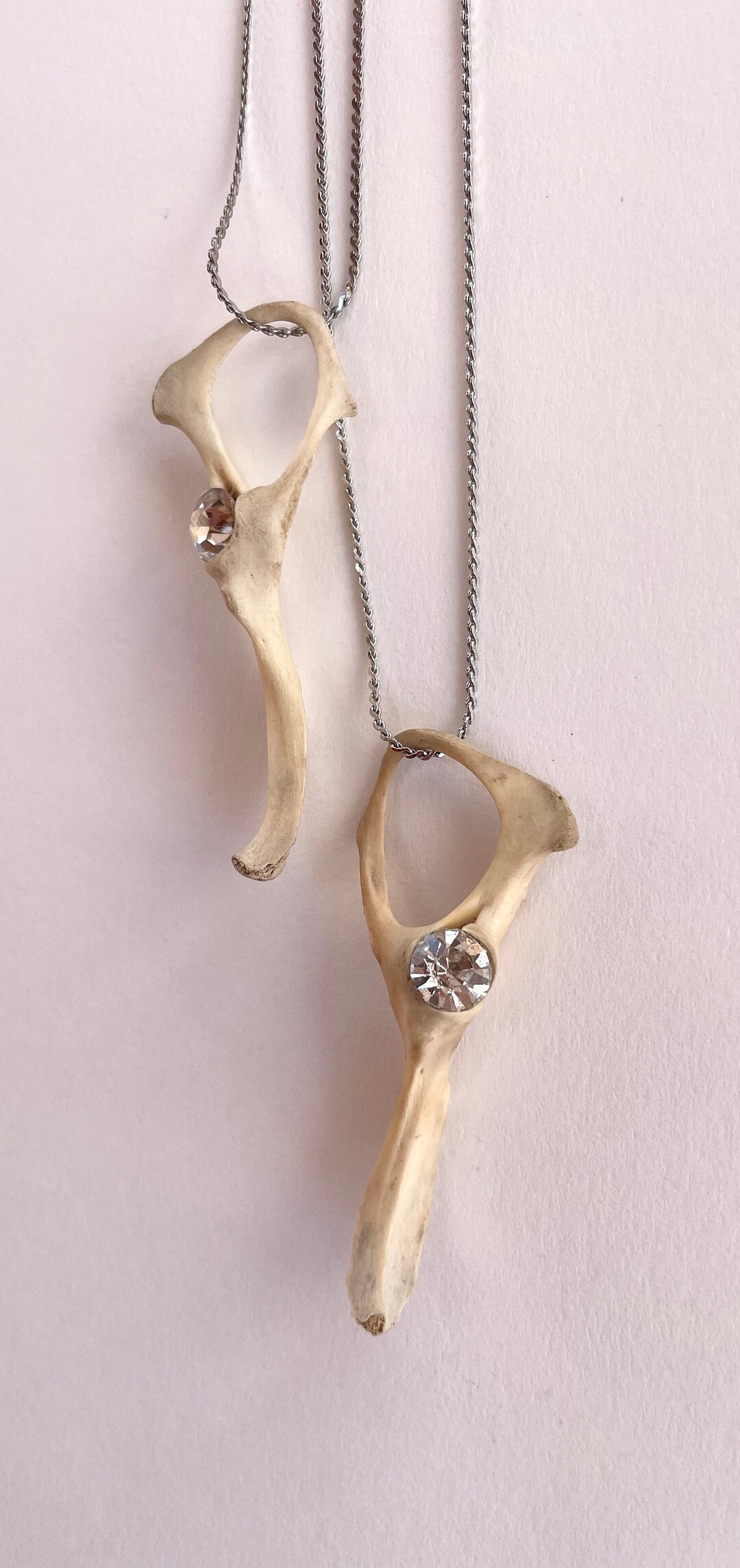 Mammal Pelvis Bone Silver Gemstone Vintage Pendant Necklace - Etsy