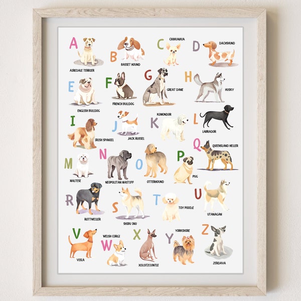 Dog Room Decor - Etsy