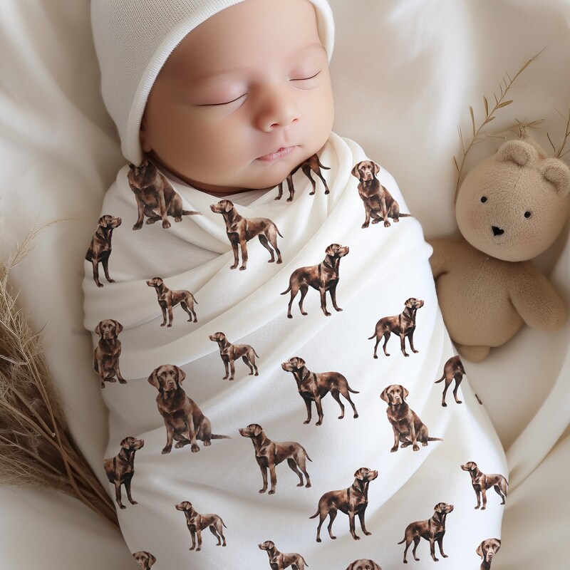 Chocolate Lab - Etsy