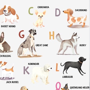 Dog Breed Alphabet for Kids Room, Dog Alphabet Poster, ABC Dogs Breeds ...