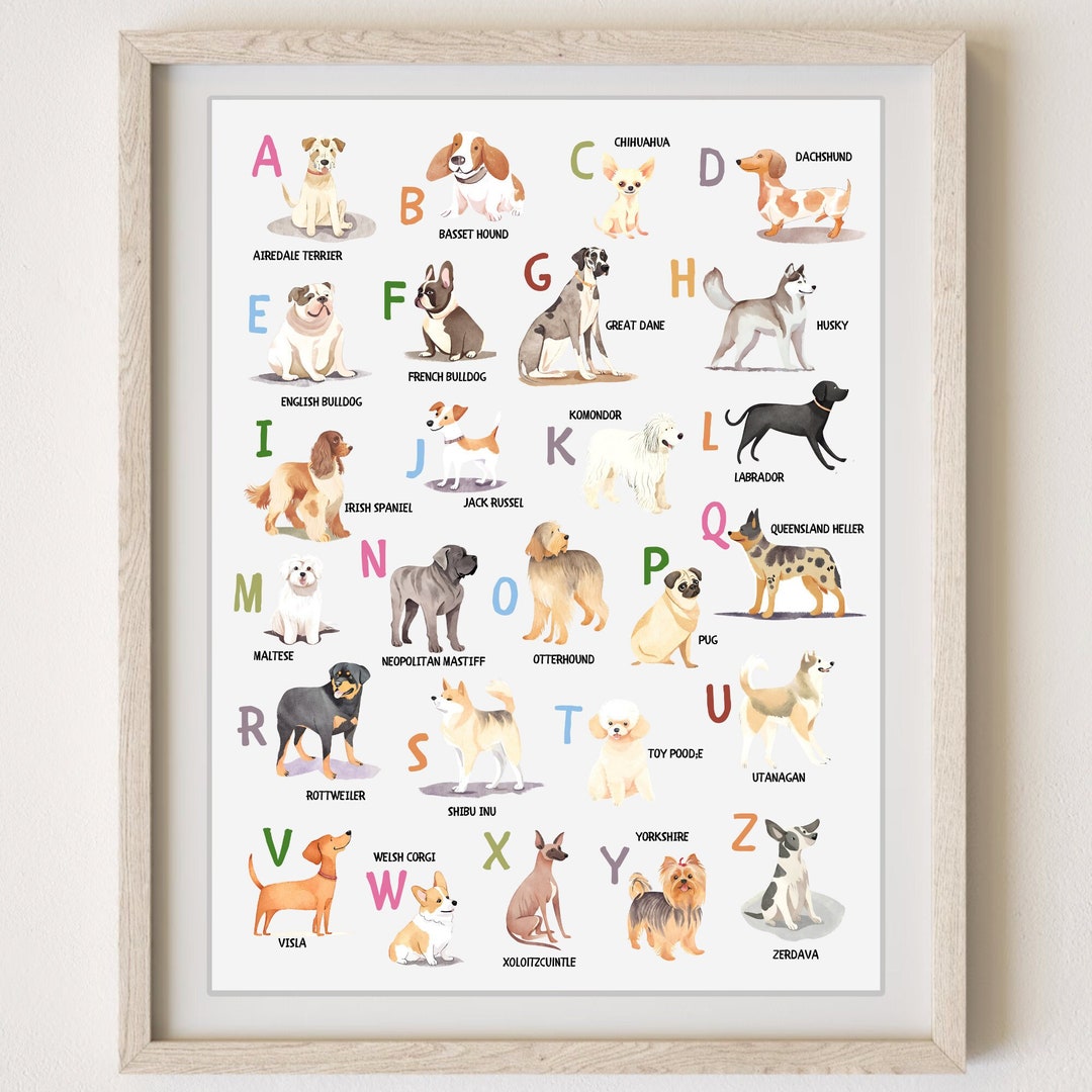 Dog Breed Alphabet for Kids Room, Dog Alphabet Poster, ABC Dogs Breeds ...