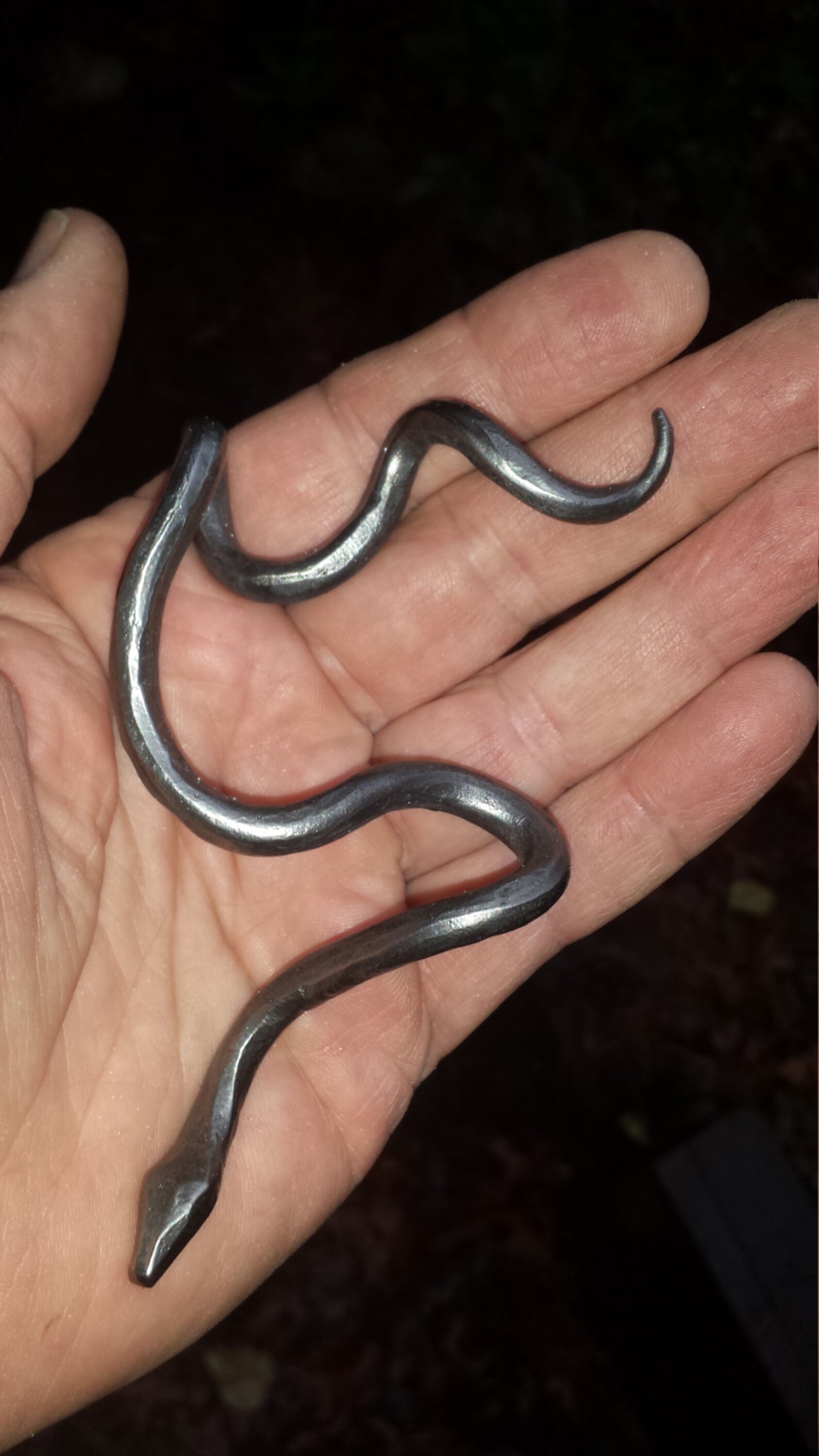 Snake, Hanging Snake,iron Snake,hand Forged Snake,metal Snake,pet Snake ...