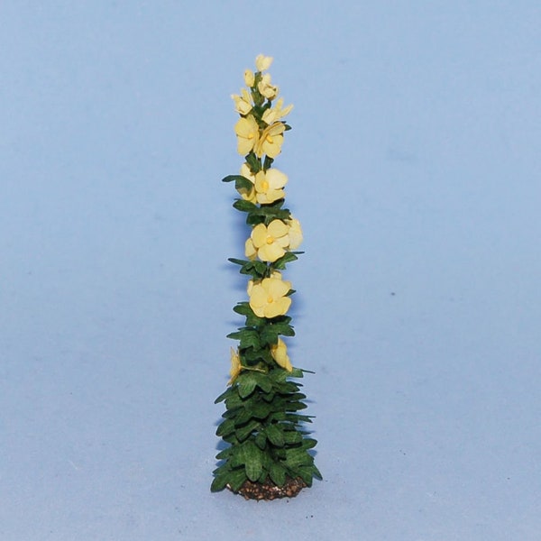 Miniature Hollyhock - Etsy