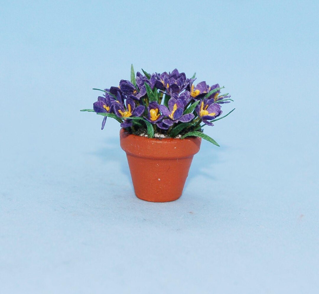 1:12 Scale * 1 Inch Scale Dollhouse Miniature-crocus Plant - Etsy