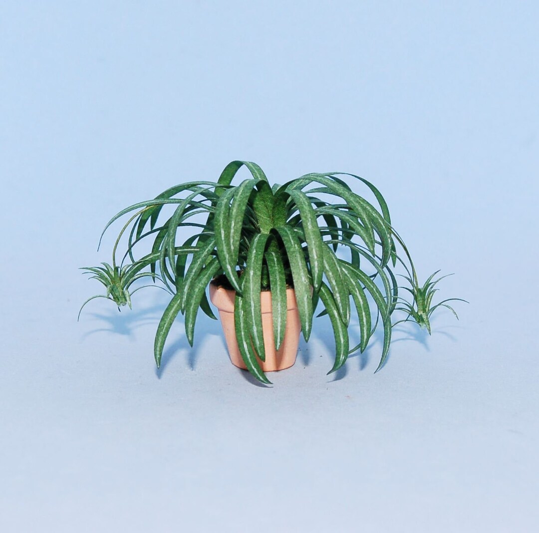 1:12 Scale 1 Inch Scale Dollhouse Miniature-spider Plant - Etsy