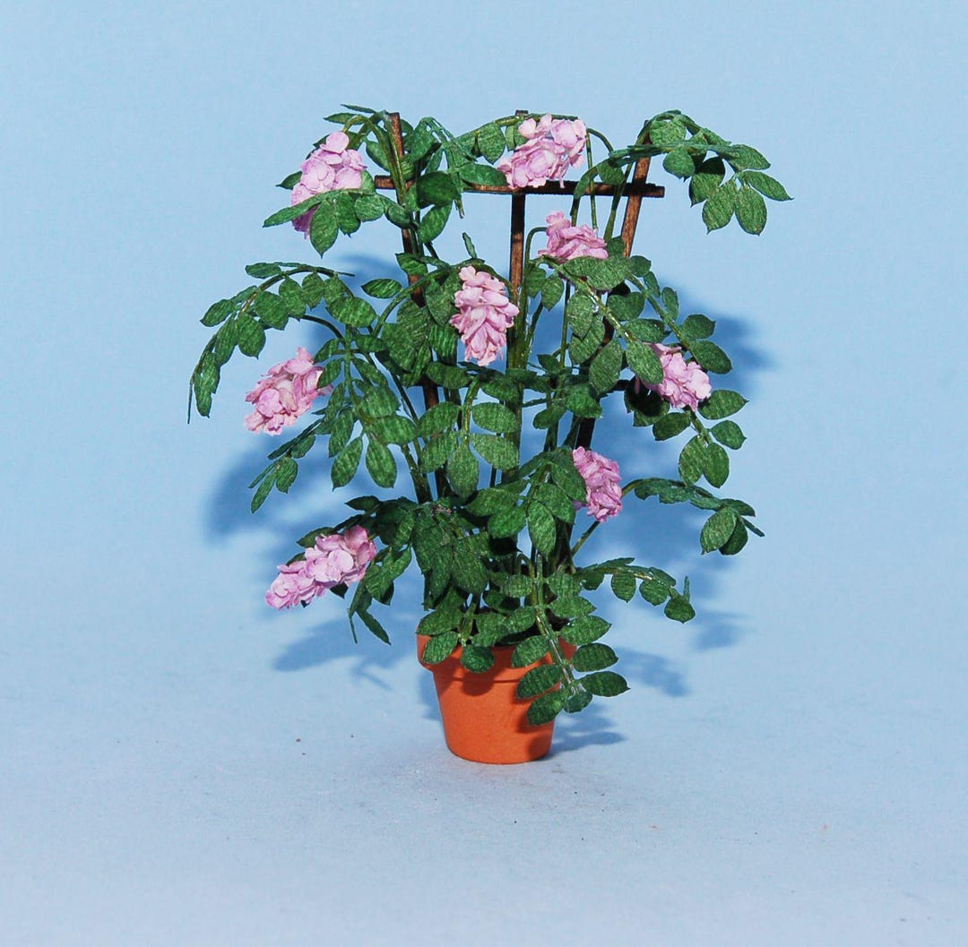 1:12 Scale * 1 Inch Scale Dollhouse Miniature-wisteria on a Trellis in ...