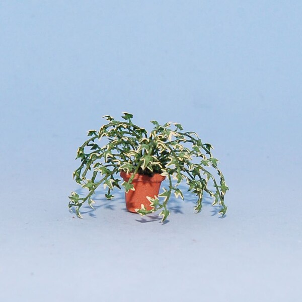 Dollhouse Ivy - Etsy