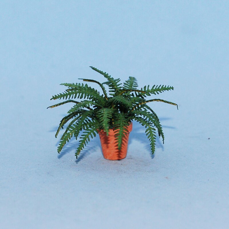 Miniature Fern - Etsy