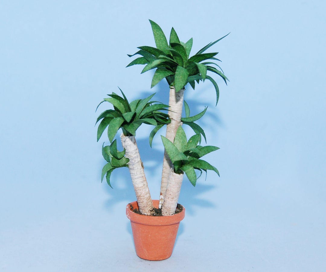 1:12 Scale * 1 Inch Scale Miniature-yucca Plant - Etsy