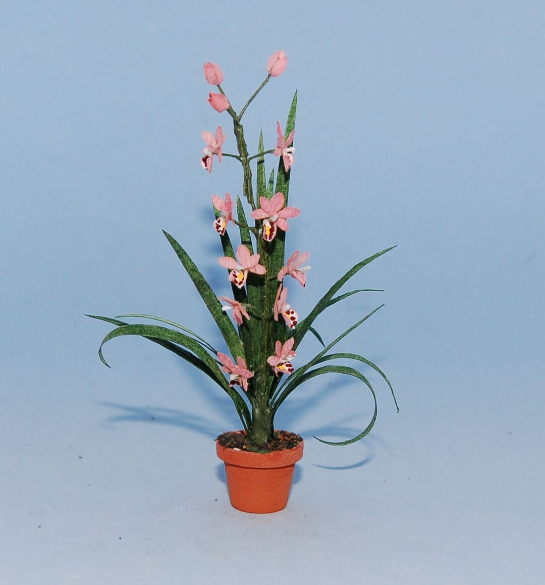 1:12 Scale 1 Inch Scale Miniature-cymbidium Orchid - Etsy
