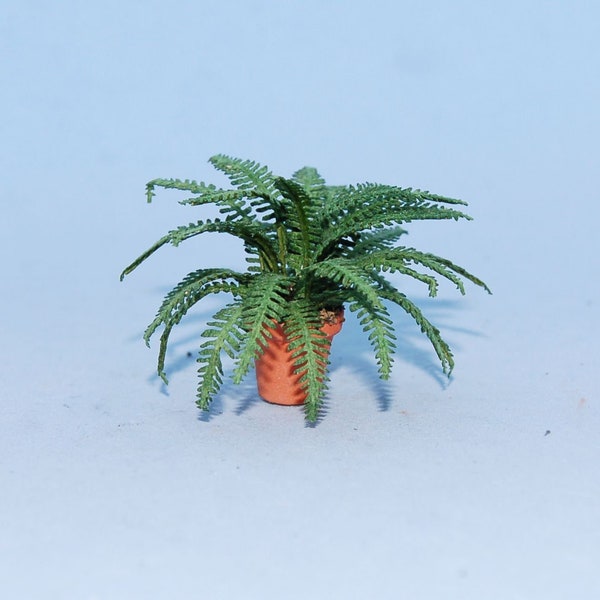 Miniature Fern - Etsy