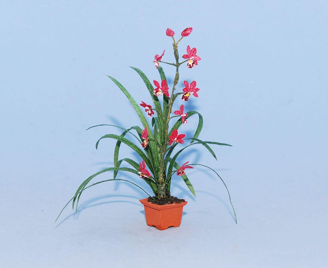1:12 Scale * 1 Inch Scale Miniature-cymbidium Orchid - Etsy