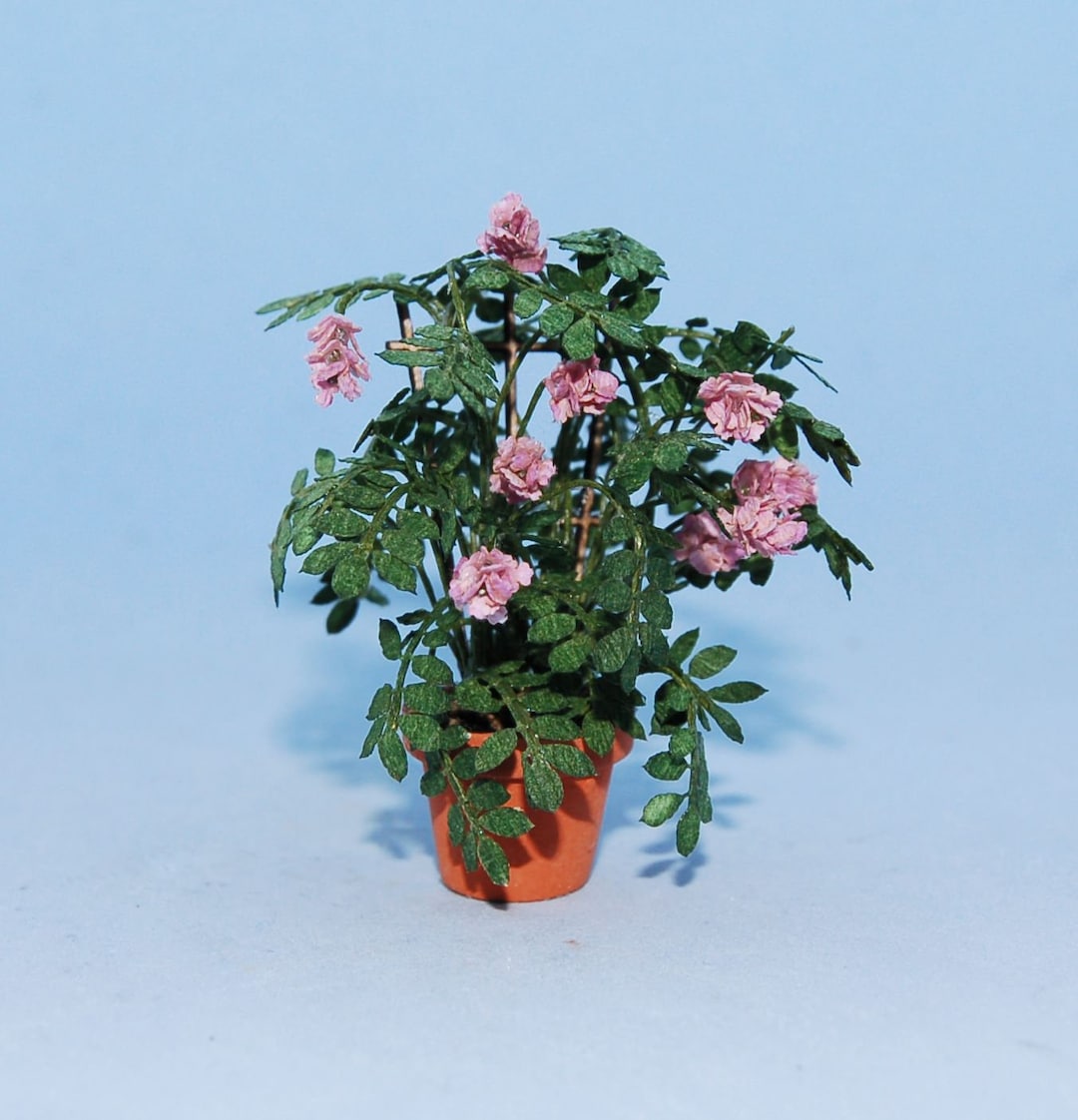 1/2 Inch Scale Miniature-wisteria on a Trellis - Etsy