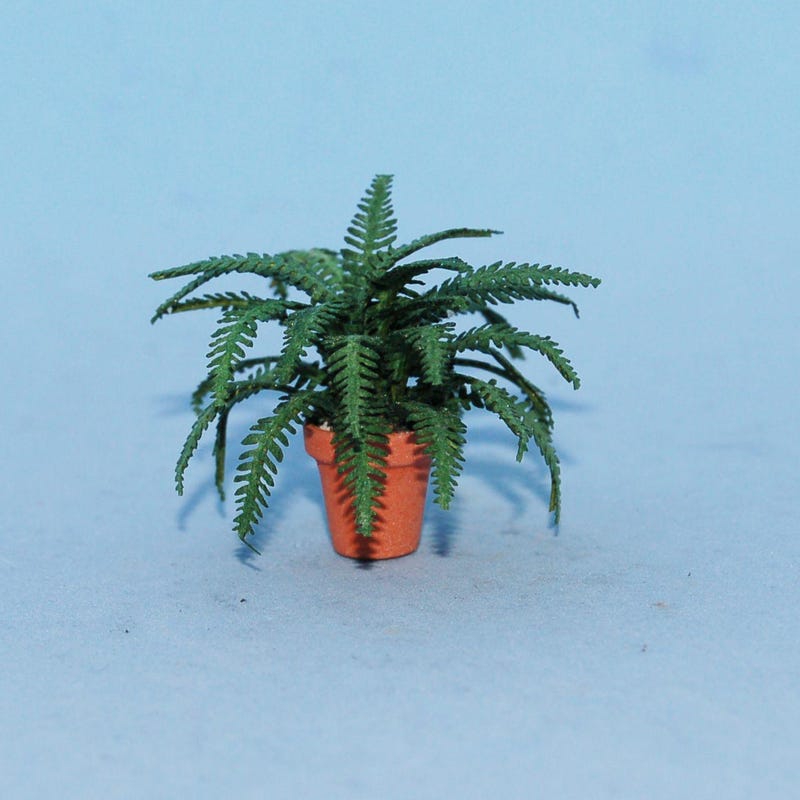 Miniature Ferns - Etsy